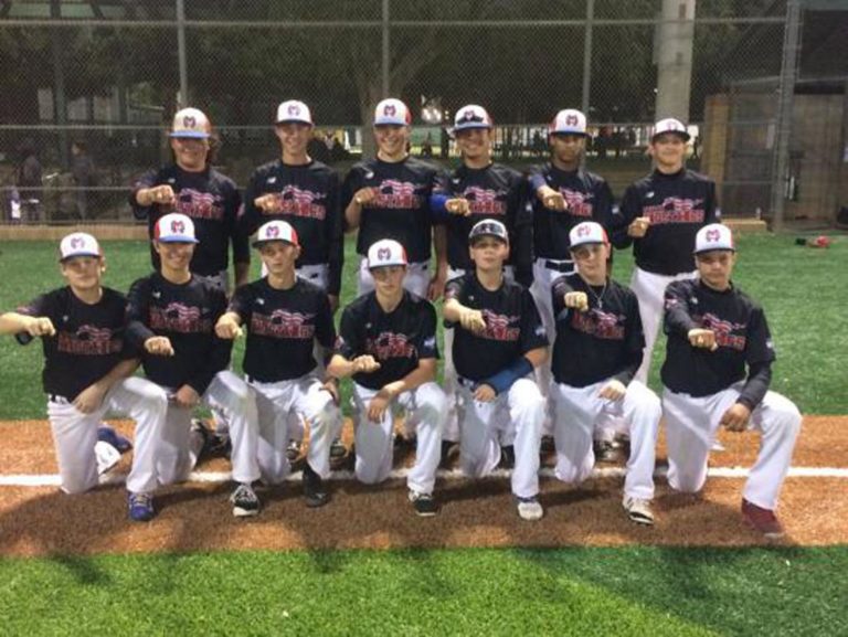 About Dallas Mustangs - Youth Baseball Club in Dallas, TX